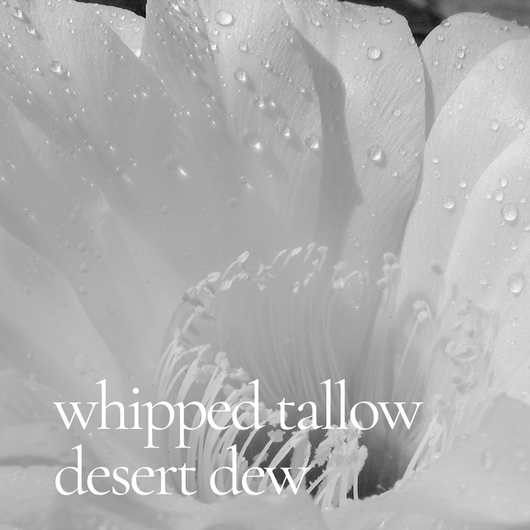 Desert Dew – Hathor's Hacienda